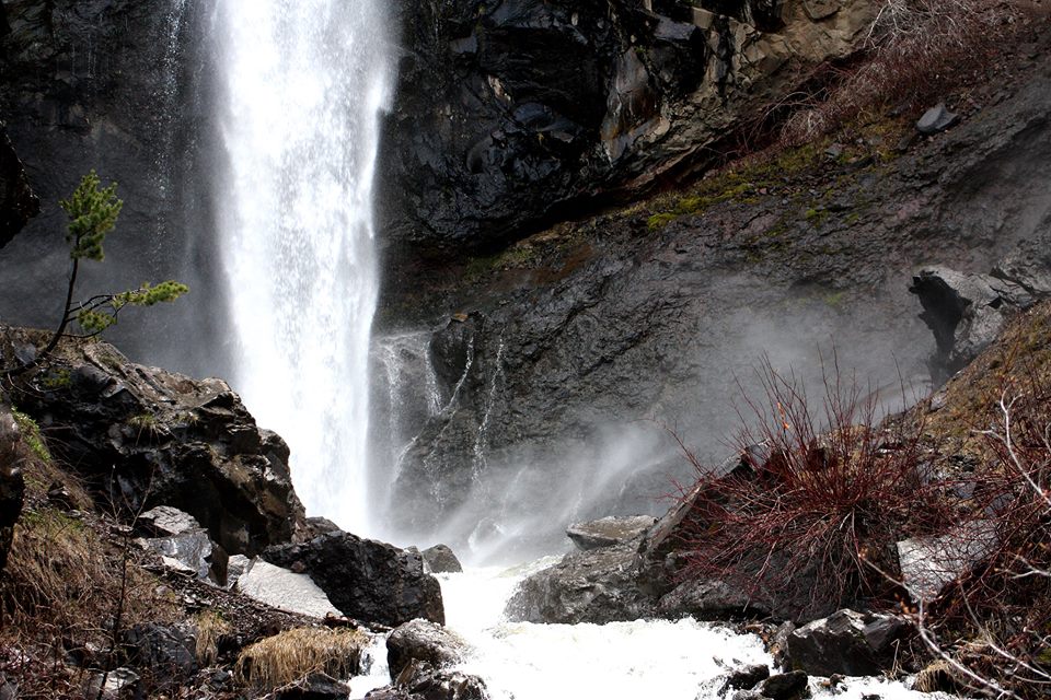 TREASURE FALLS - Marshmallow Ranch