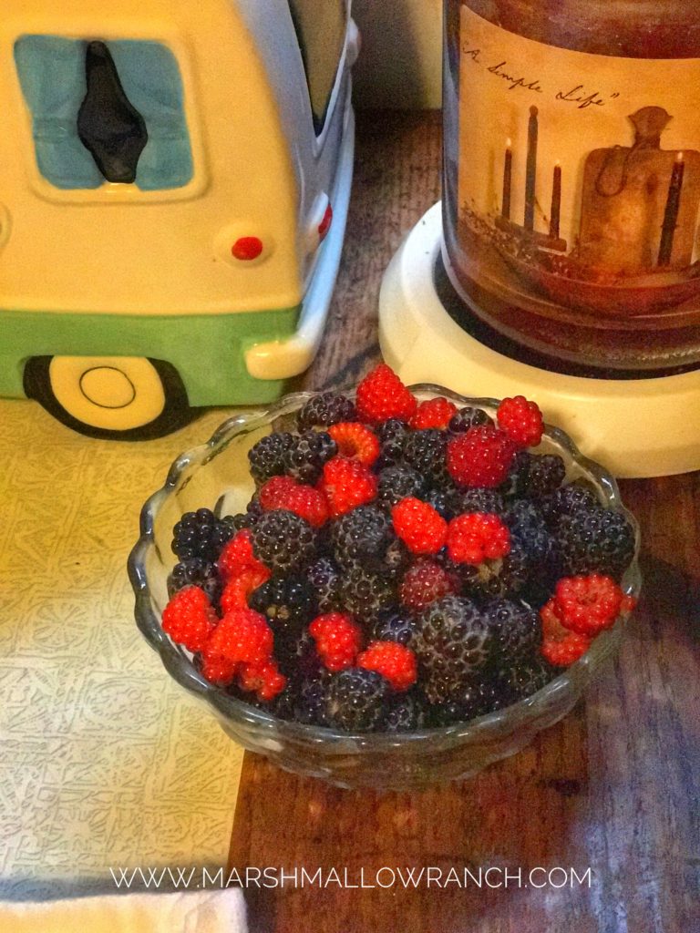 Weekend Walkabout - Marshmallow Ranch