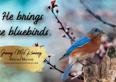 Thunder! - Marshmallow Ranch