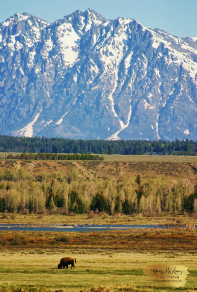 Tread Lightly - Marshmallow Ranch