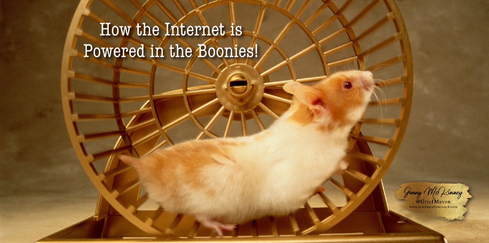 Hamster Power - Marshmallow Ranch