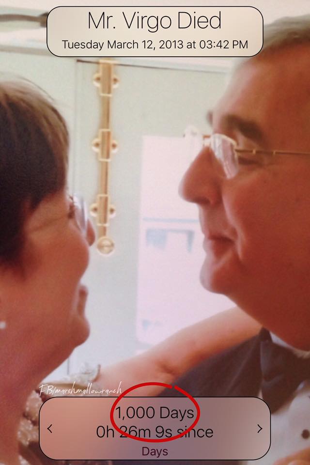 The First One Thousand Days - Marshmallow Ranch