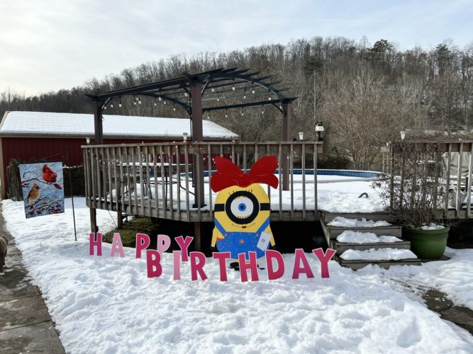 Pink Flamingos and Minions - Marshmallow Ranch