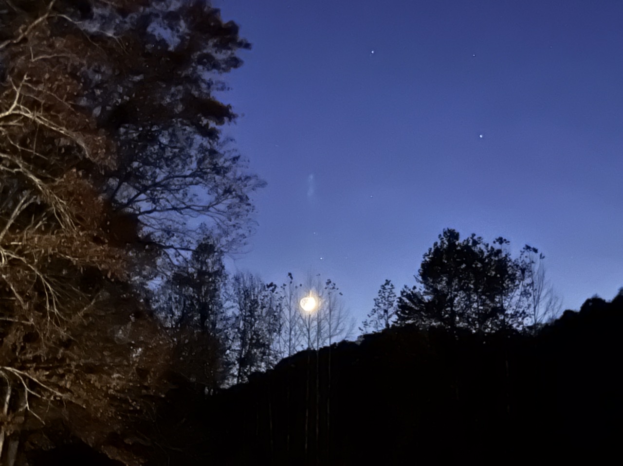 “A Quiet Life” - Marshmallow Ranch