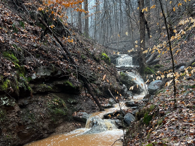 A Week Packed Into a Day - Marshmallow Ranch