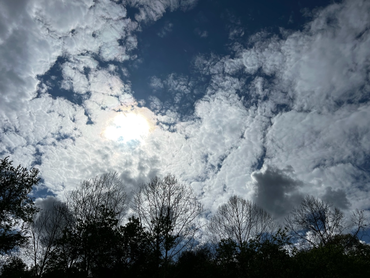 And the Clouds Parted! - Marshmallow Ranch