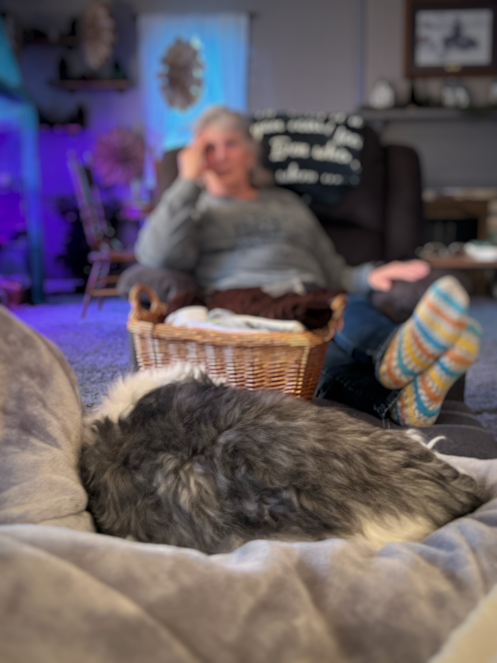 A Home Away From Home - Marshmallow Ranch