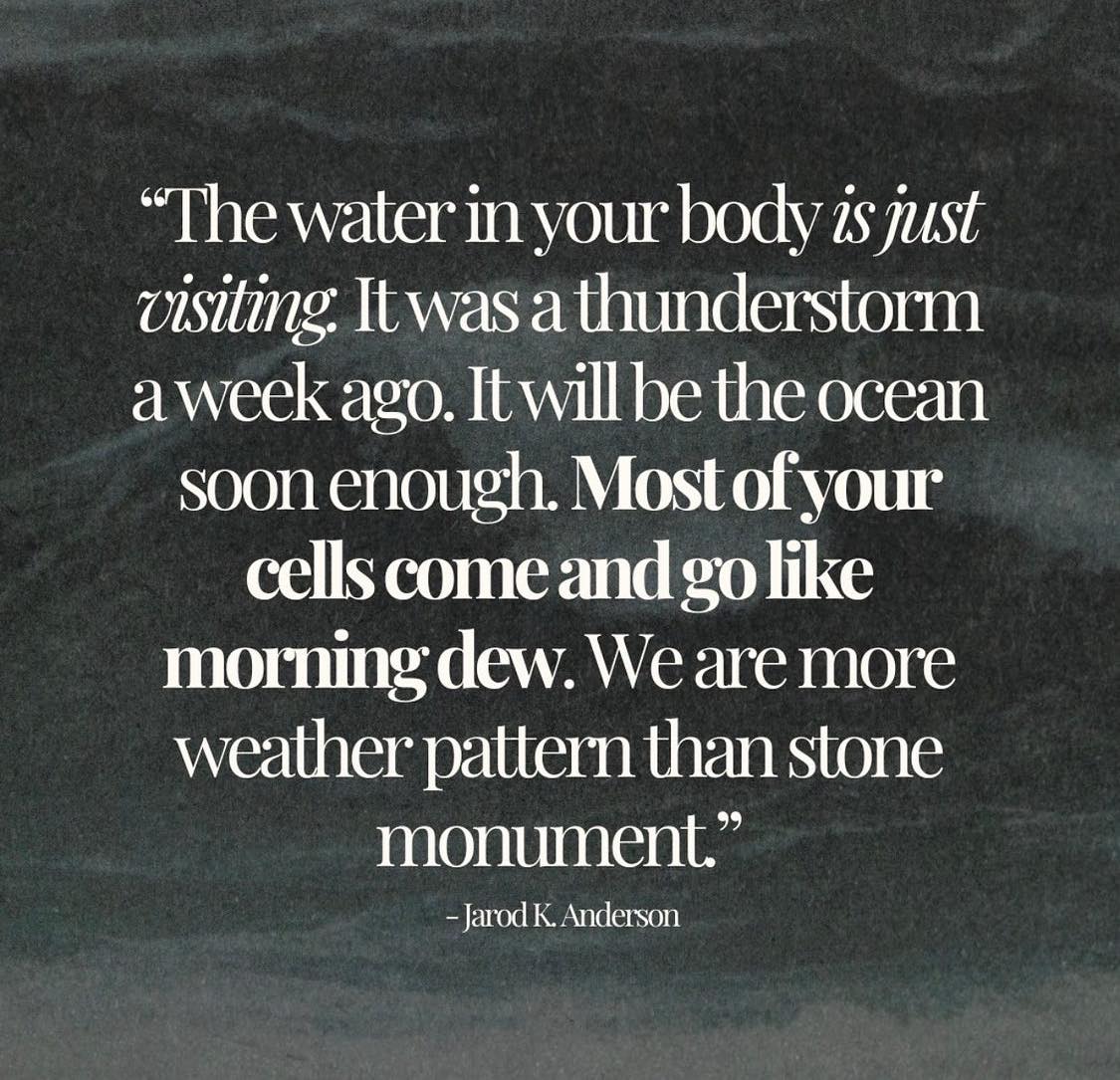 Today’s Thought: - Marshmallow Ranch