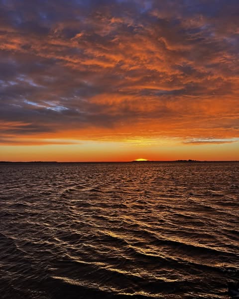 Making Progress - Marshmallow Ranch