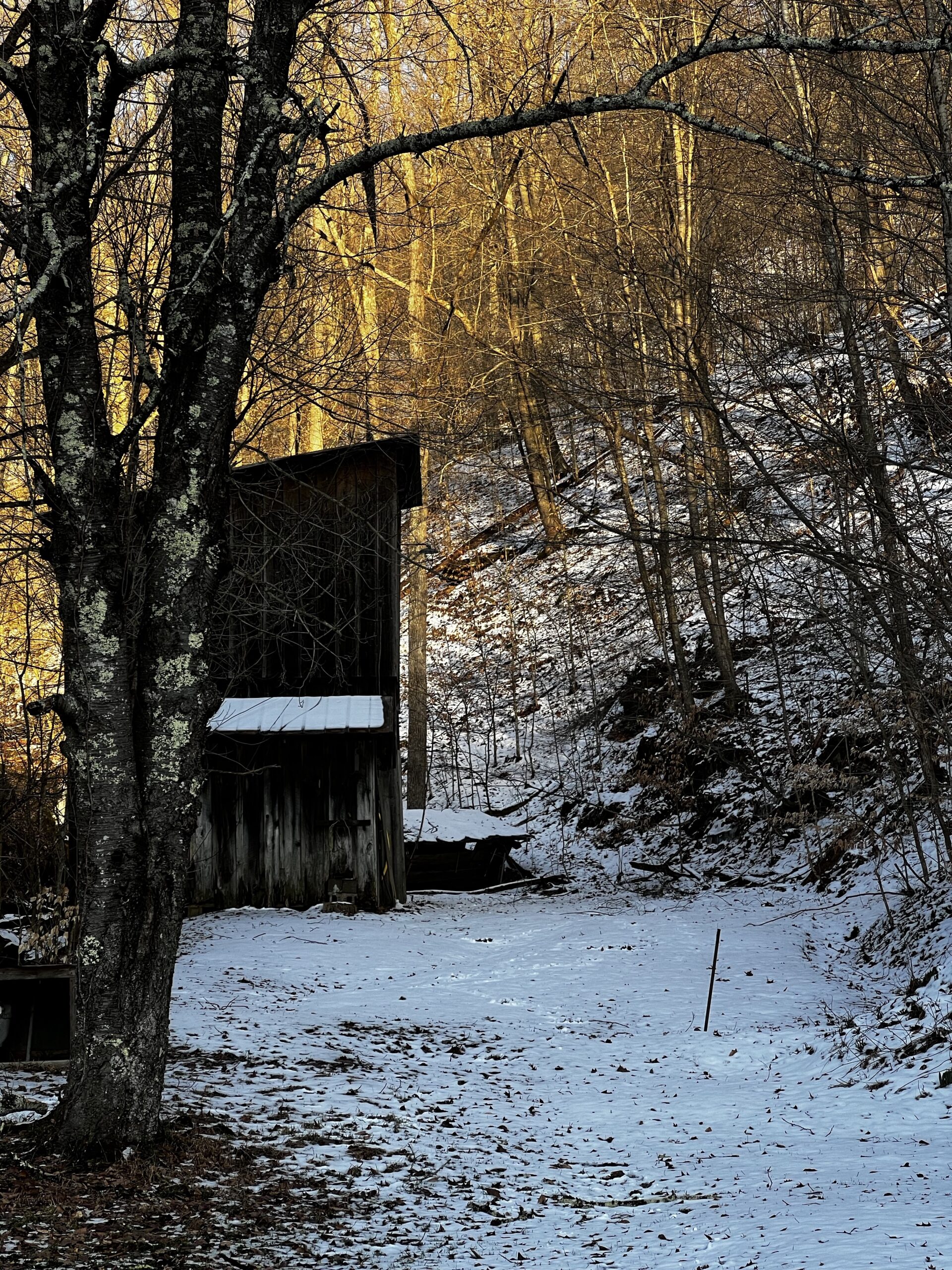 The Farm The Farm The Farm! - Marshmallow Ranch