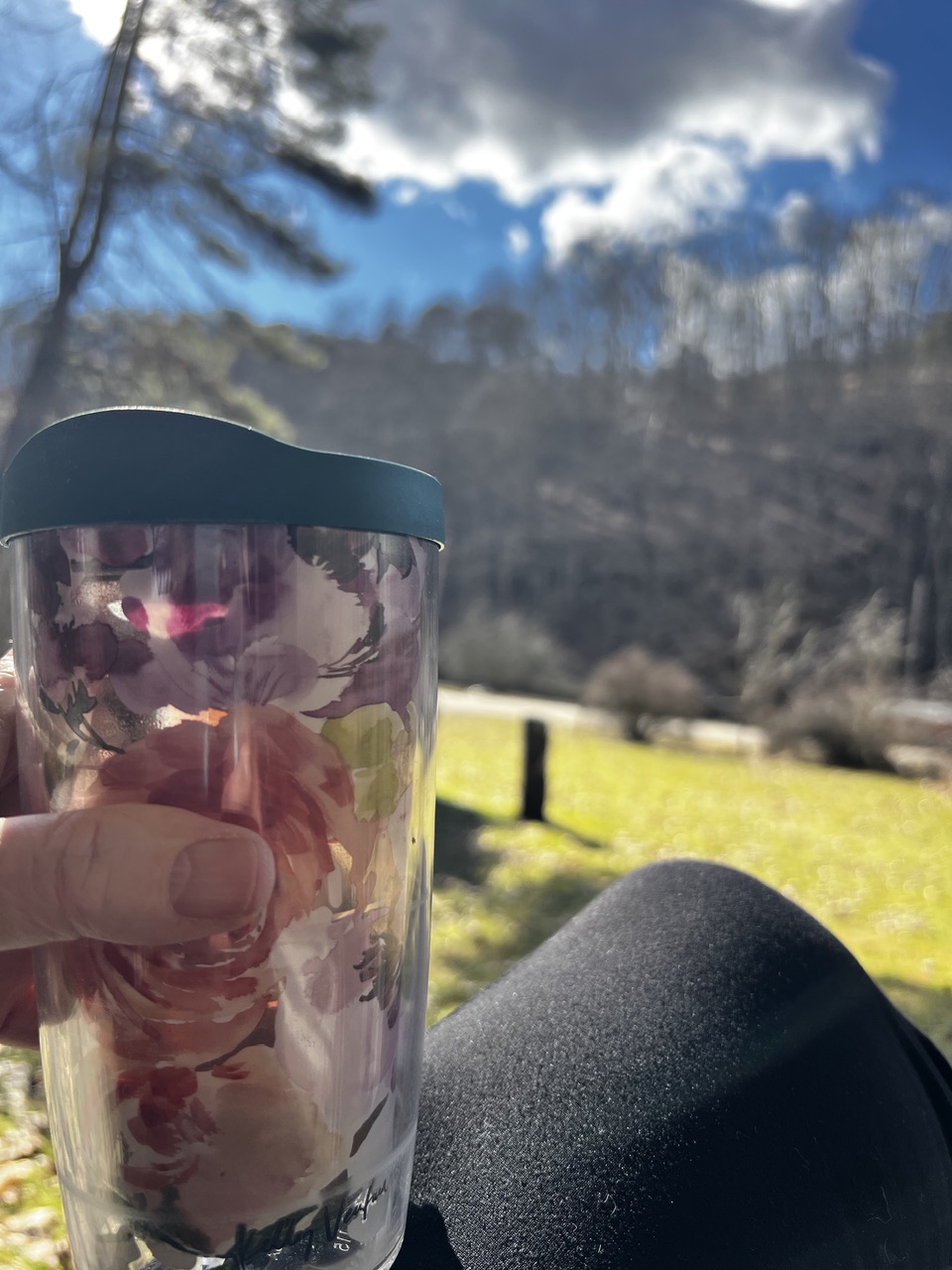 A Portent of Spring - Marshmallow Ranch