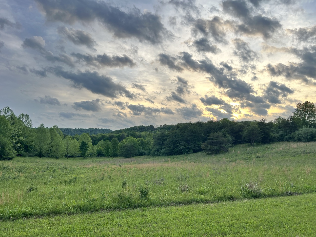 Country Roads….. - Marshmallow Ranch